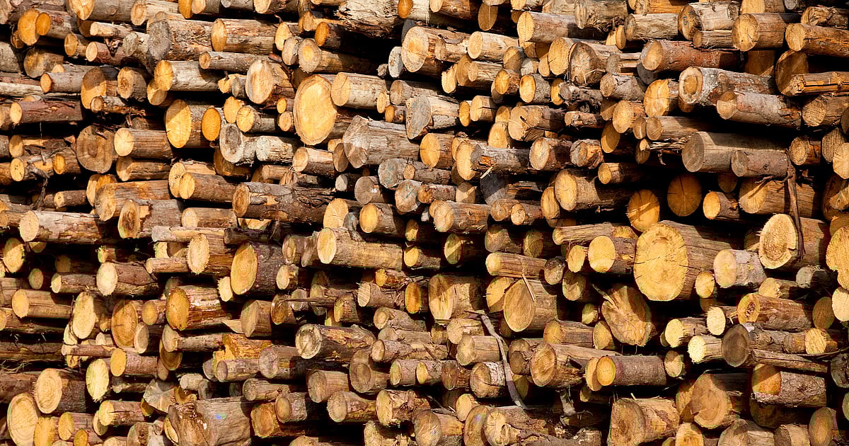 European forests: How climate change, land ownership, and forest ...