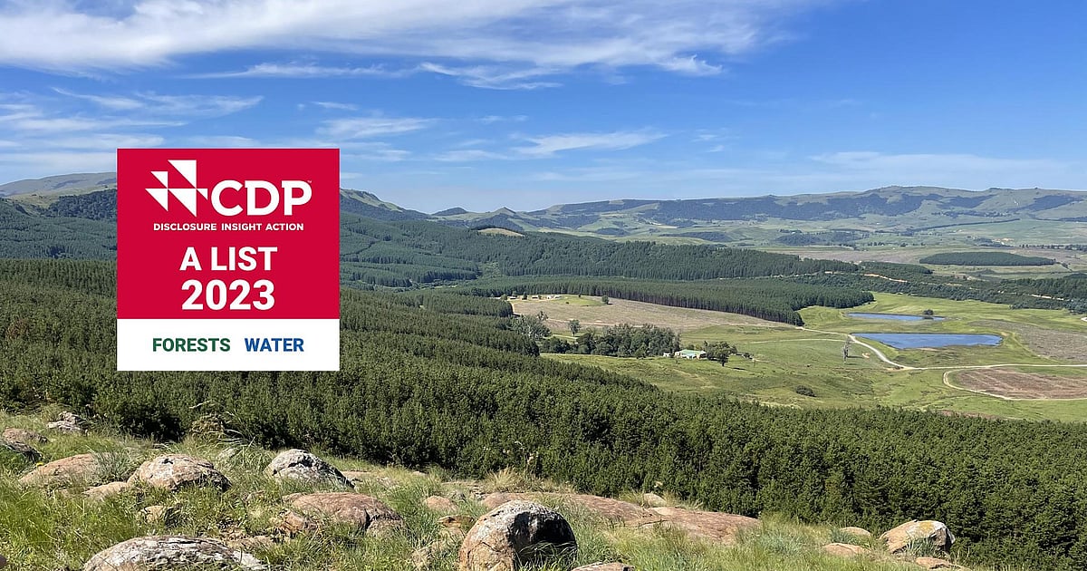 Mondi’s leading practices in sustainable forestry and water security ...