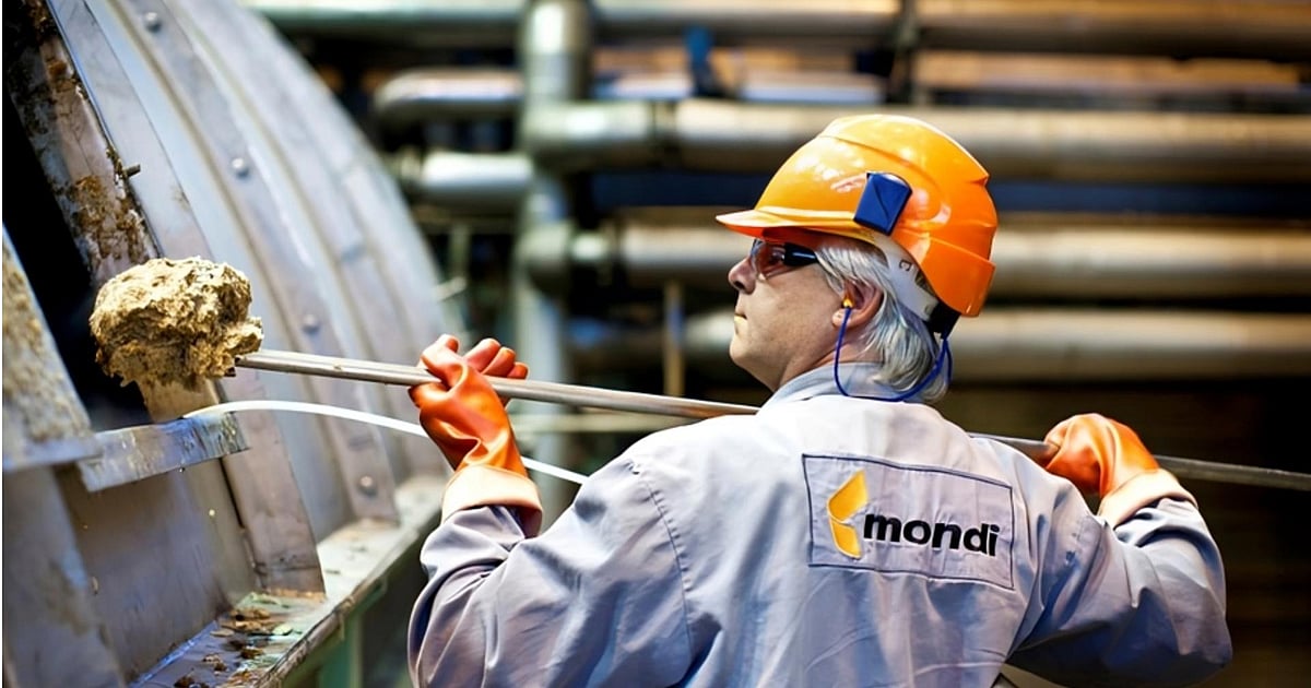 Three effective ways to reuse pulp and paper waste | Mondi