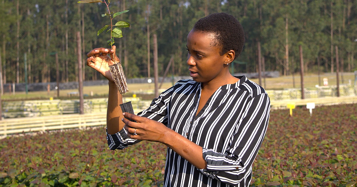 Mondi South Africa’s stakeholder engagement: A cornerstone to ...