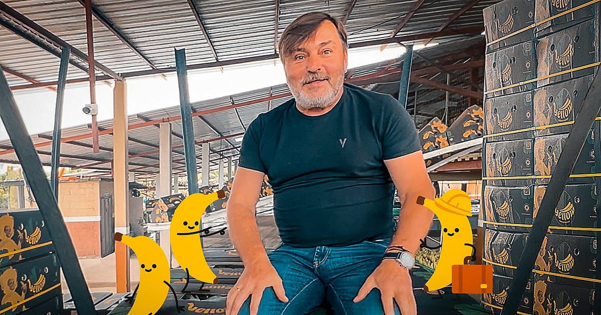 Rethinking the banana box: How collaboration sparked a packaging ...