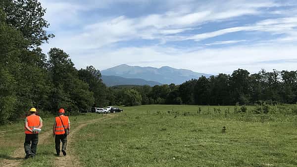 Tackling issues beyond forest certification in high-risk countries