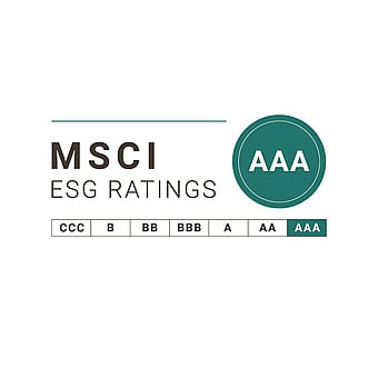 Sustainability Ratings and Rankings | Mondi